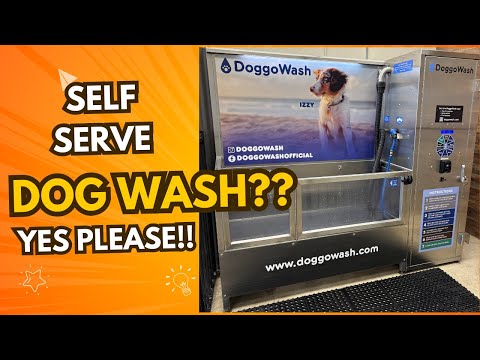 How To Use A Self Serve Dog Wash Station