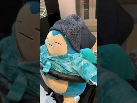 The Adventures of #snaxthesnorlax—#Ibaraki edition #snorlax #pokemon #japan #kabigon #shorts