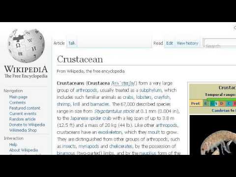 What Are Three Types Of Crustaceans That Are Arthropods?