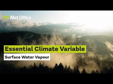 Essential Climate Variable – Surface Water Vapour