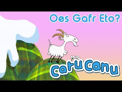 Caru Canu | Oes Gafr Eto? (Welsh Children's Song)
