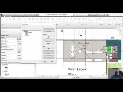 REVIT DESIGN OPTION – Phoenix