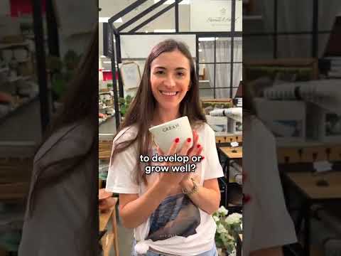 Do you know these words? | Advanced English vocabulary