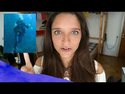 What does a marine biologist REALLY do?