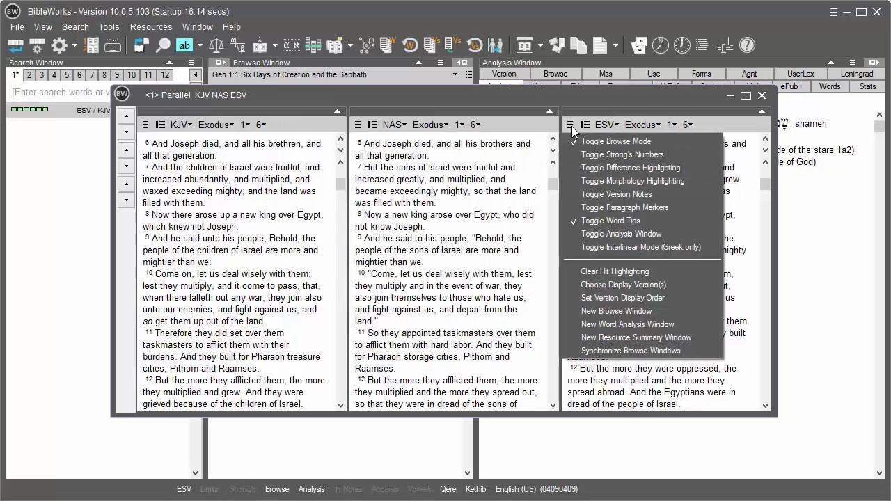 How to Use the Parallel Versions Window BW10