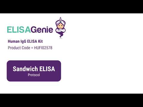 Human IgG ELISA Kit (SKU: HUFI02578) - ELISA Genie
