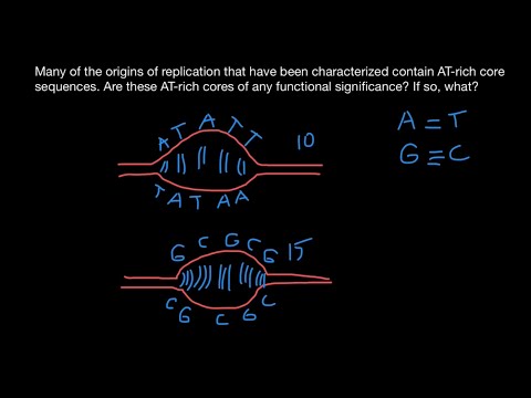 Origin of replication explained