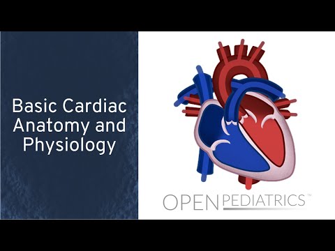 Basic Cardiac Anatomy and Physiology by N. Braudis, A. Olszewski | OPENPediatrics