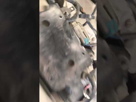 Rear 3 spark plug in the back on an 08 impala 3500 V6