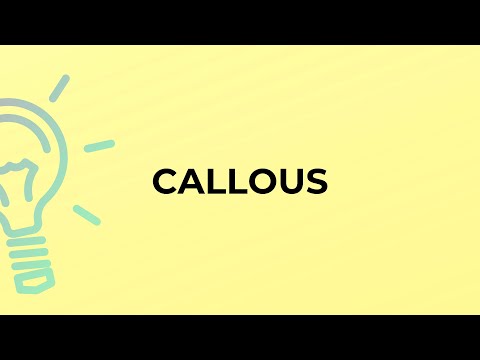 What is the meaning of the word CALLOUS?
