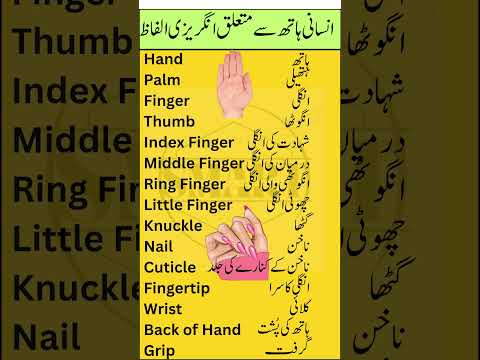 Improve English vocabulary | Learn Hand Parts in English with Urdu Meanings | Smart Study Zone |