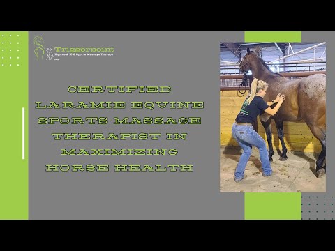 Certified Laramie Equine Sports Massage Therapist in maximizing horse health
