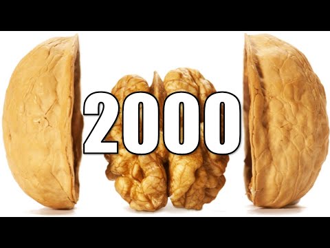 2000 in a Nutshell