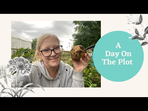 Lots of potatoes and saving cannellini beans / a little September throwback
