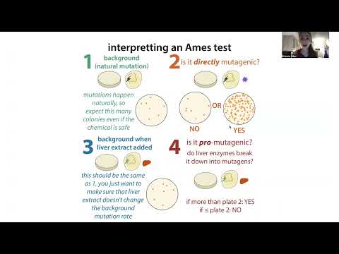 Ames test for mutagenicity - the biochemistry behind it