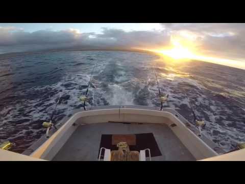 Ahi action deep sea fishing charters with. Hunt Fish Kauai