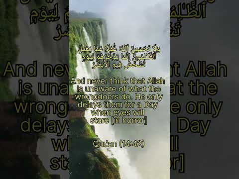 Allah will Punish the Oppressors #quranquotes #quran #shorts #ytshorts #viral #yt