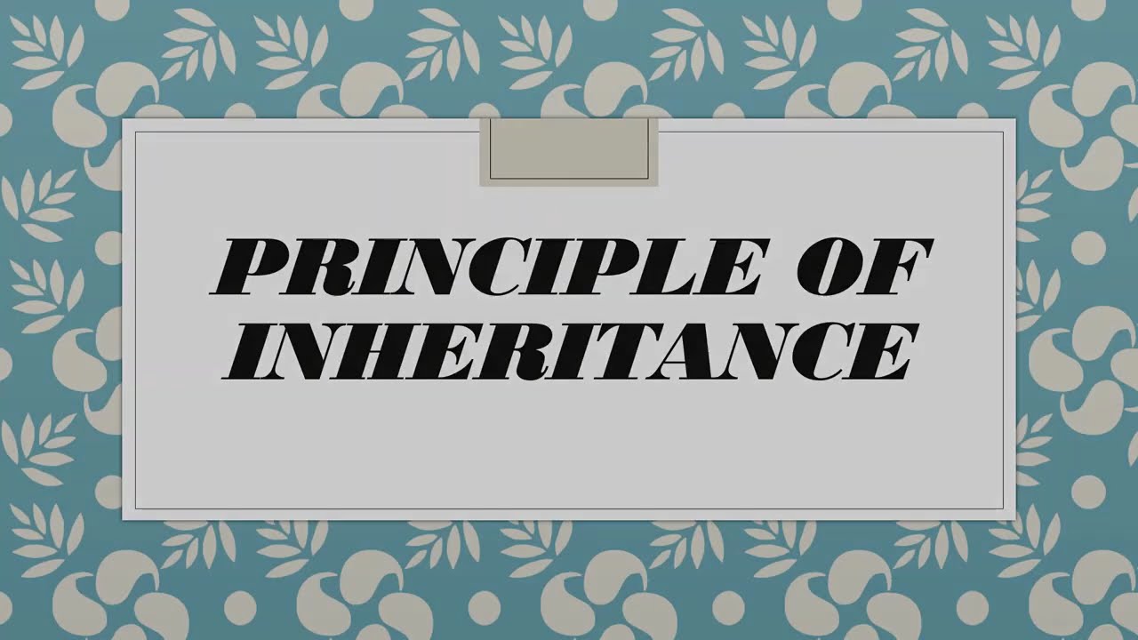 Principle of inheritance / ppt slides / class 12th biology