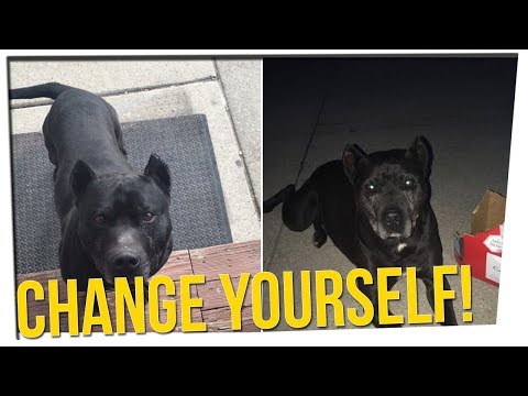 People Want to Change the Spanish Word for "Black" ft. DavidSoComedy
