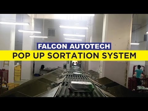 Manufacturer of Warehouse Sorting Systems by Falcon Autotech Private ...
