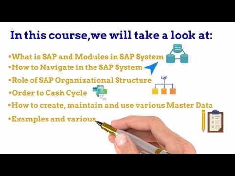 SAP Sales & Distribution (SD) Training (Video 1) What is covered in this course?
