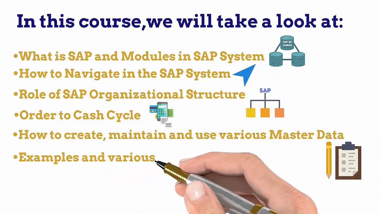 SAP Sales & Distribution (SD) Training (Video 1) What is covered in this course?
