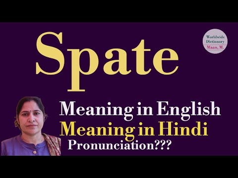 spate meaning l meaning of spate l spate ka hindi mein kya matlab hota hai l vocabulary l