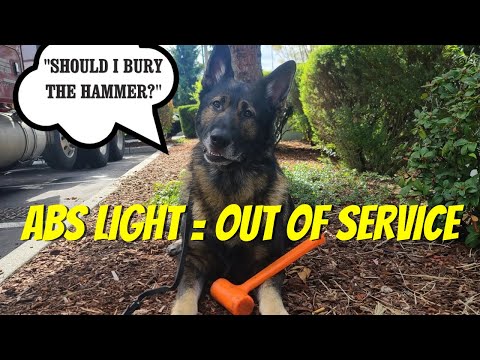 ABS Light = Out of Service