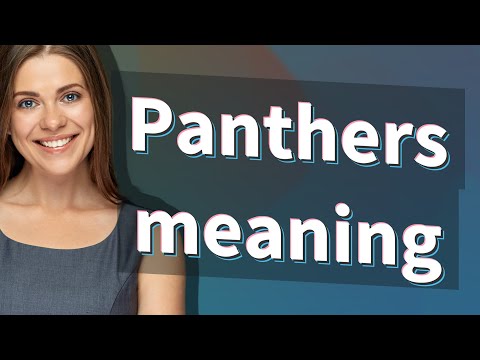 Panthers | meaning of Panthers