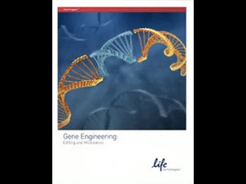 Gene Engineering eBook: Genome Editing and Gene Modulation