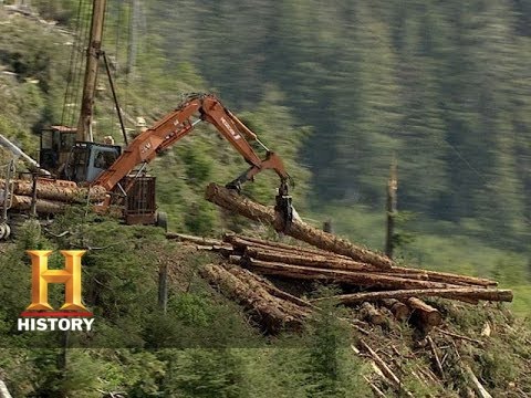 Ax Men: No Place Like Home? | History
