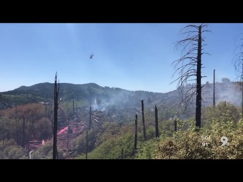 Mt. Lemmon Busch Fire ignited by abandoned campfire