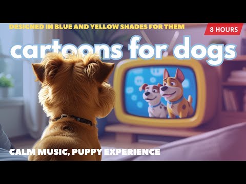 TV FOR DOGS | The Best Animated Show for Dogs to Watch! π¦΄π Colors they can see, Dog Music