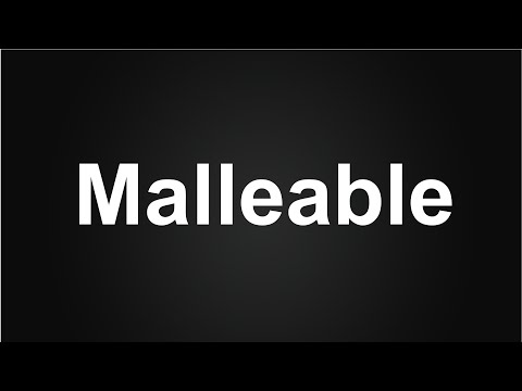 Malleable Meaning in Urdu, How to Malleable in English, Malleable Meaning in Hindi