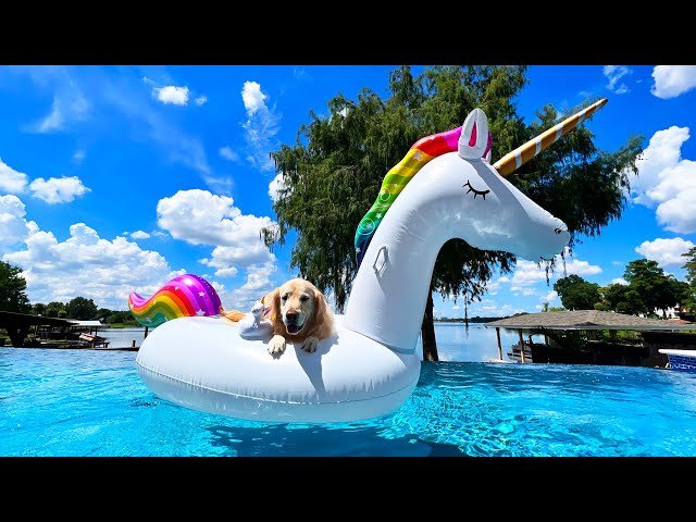 TmarTn2's Profile, Net Worth, Age, Height, Relationships, FAQs