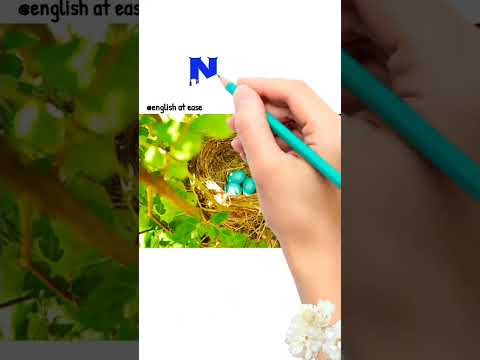 Nest meaning in hindi|Nest ka hindi kya matlab hota hai|daily use english words in hindi#viraltrend