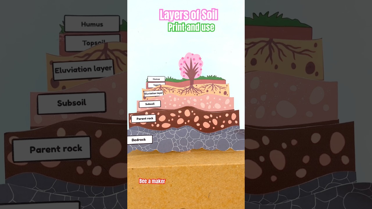 Layers of soil printable science activity
