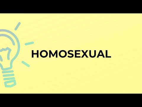 What is the meaning of the word HOMOSEXUAL?