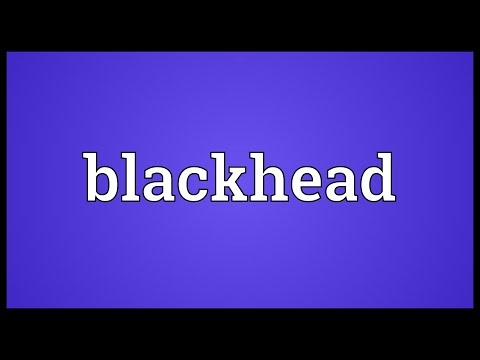 Blackhead Meaning