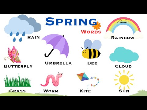 spring words π±πΌ English vocabulary for kids#english #kids