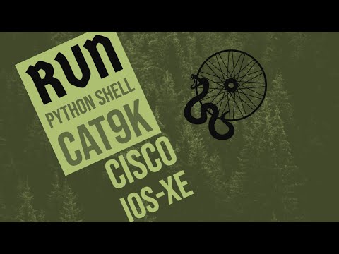 Python Shell on Catalyst 9K: A Beginner's Guide