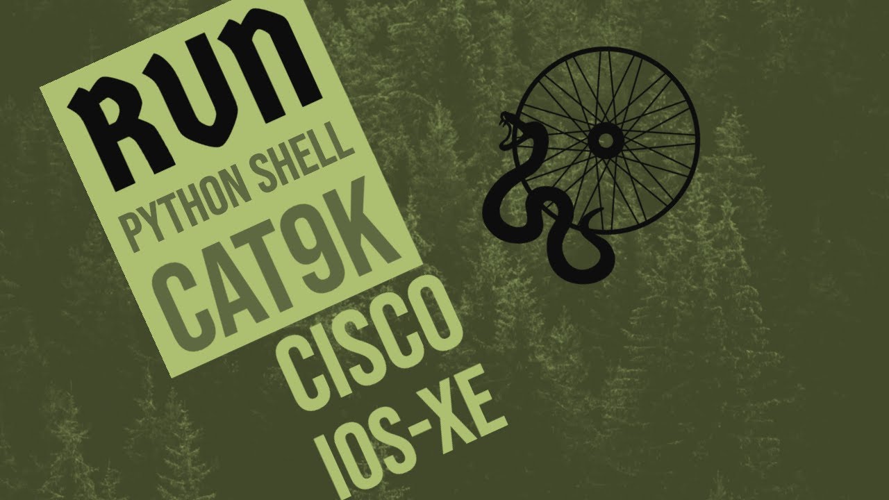 Python Shell on Catalyst 9K: A Beginner's Guide