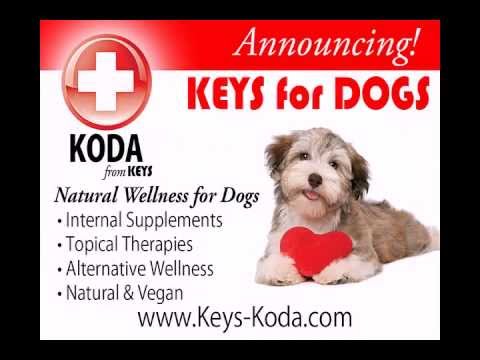 KODA Overview and Products for Dogs