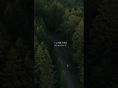 Manu Chao - Me Gustas tu [ english lyrics ] | Aesthetics vibes #trendingsongs #shorts
