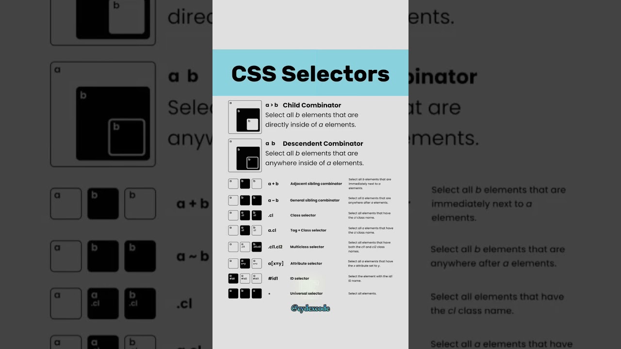 CSS Selectors 👨‍💻. #cssselectors #selectors #csstutorial #css
