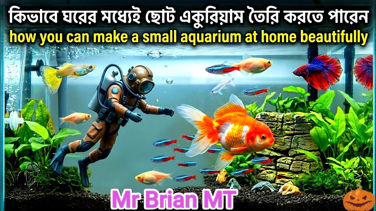 How to Make a Small Aquarium at Home - Mr Brain MT.