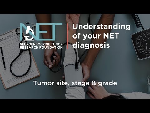 Understanding your Neuroendocrine Cancer Diagnosis