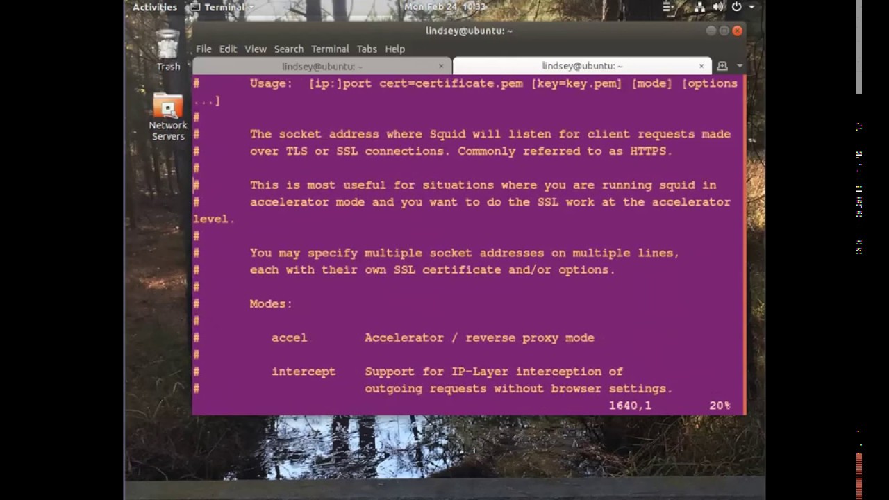 Configuring Squid Web Proxy Server on Ubuntu.