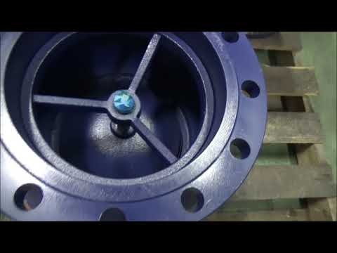 Foot Valve With Clean Lever