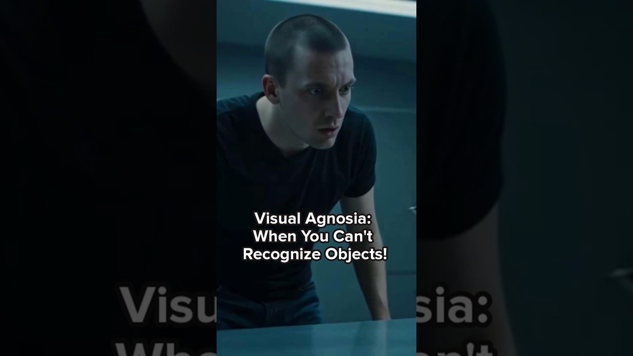 Visual Agnosia: When You Can't Recognize Objects